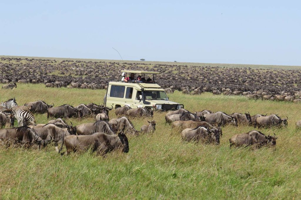 SafariLand Travel – We offer Wildlife safaris, Mountain climbs ...