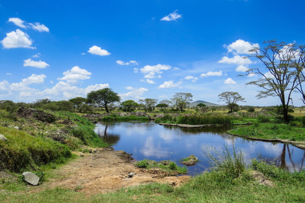 Lake Manyara National Park – SafariLand Travel