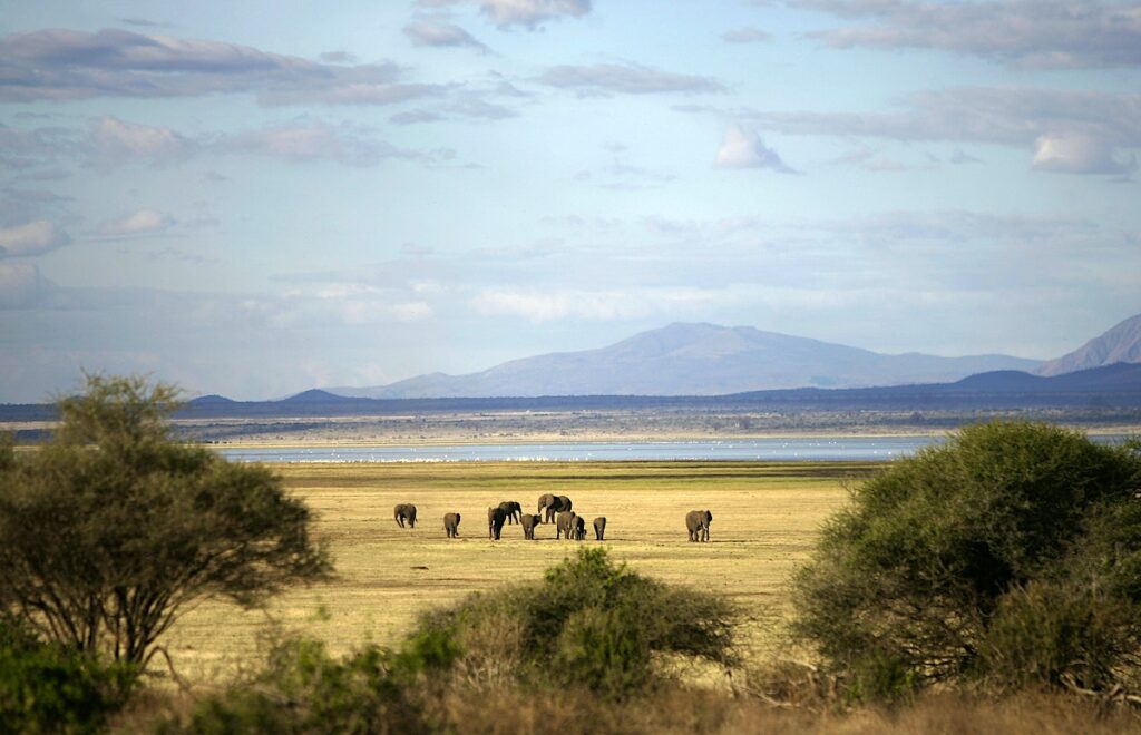 Lake Manyara National Park – SafariLand Tours & Safaris